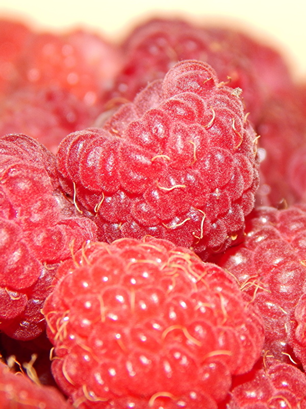 Photo Raspberry Macro photography Food Closeup 600x800