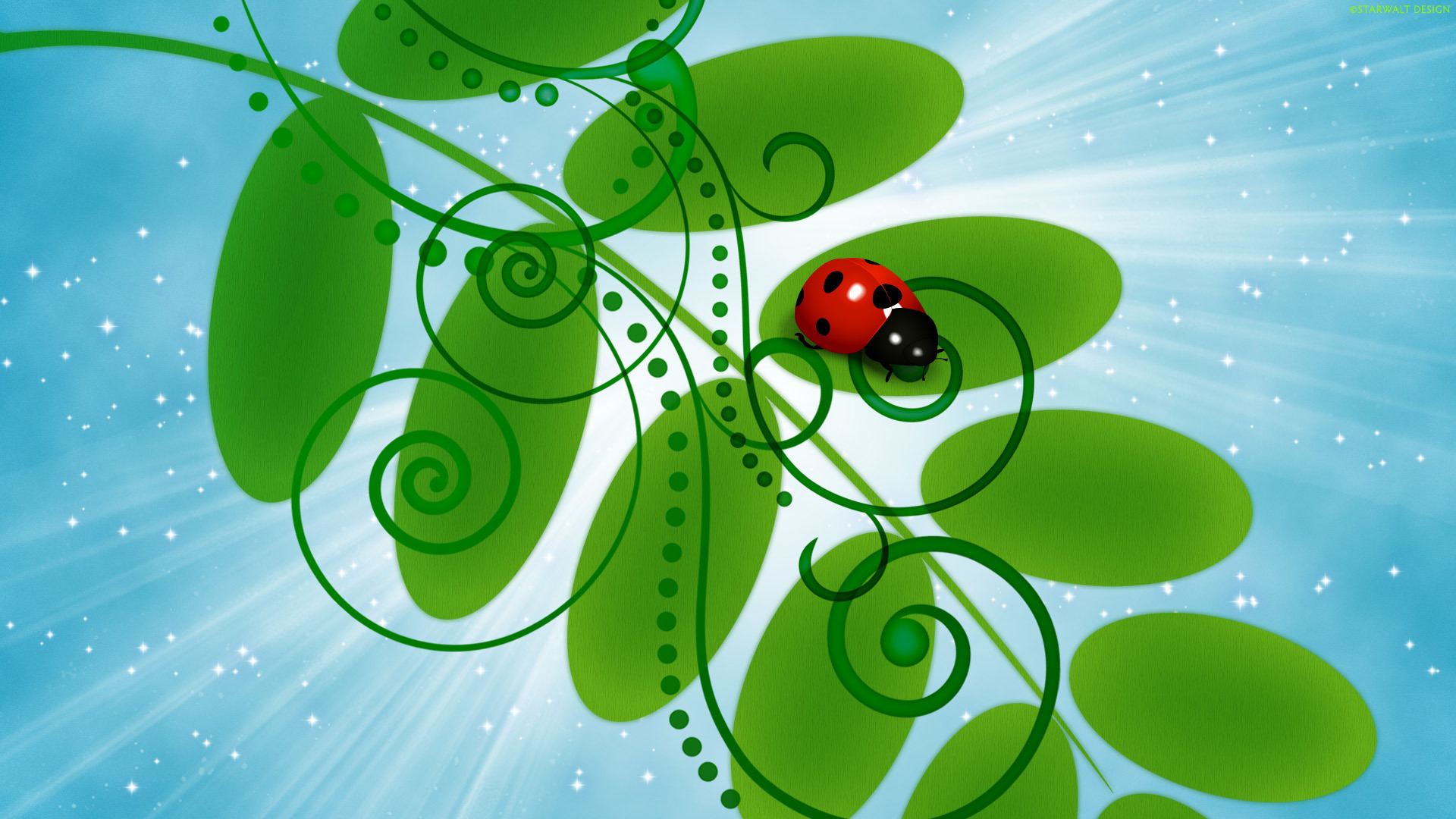Desktop Wallpapers Ladybugs Animals Vector Graphics 1920x1080